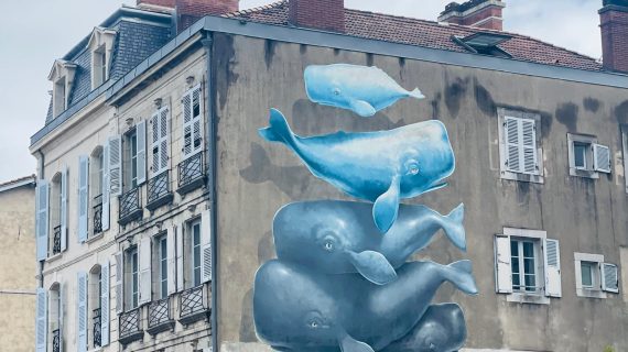 Bayonne: cosa vedere e fare nel Paese Basco francese - Ecobnb