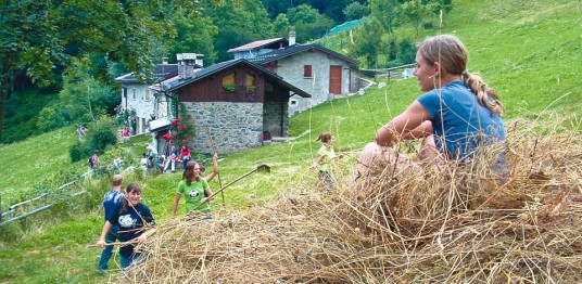 How to travel Italy for free, working on organic farms - Ecobnb