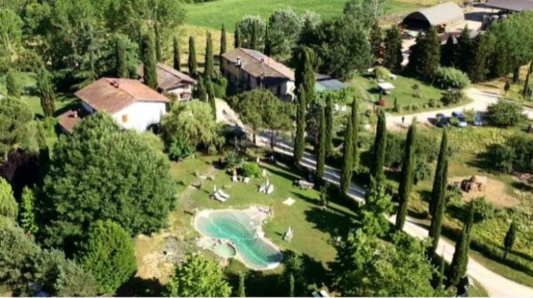 Diving in a natural pool: biopools and bioponds in Italy