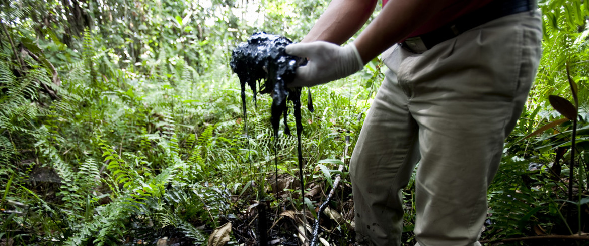 Amazon vs oil, the revenge of Nature