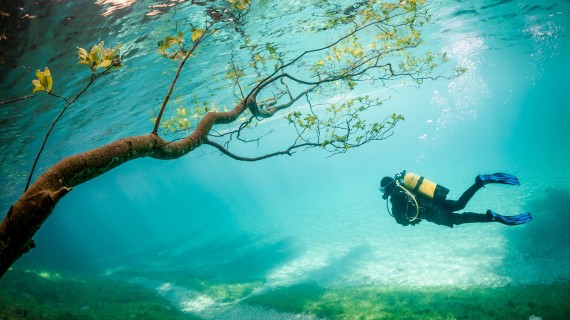 The reversibility of nature: scuba diving in a lake-meadow - Ecobnb
