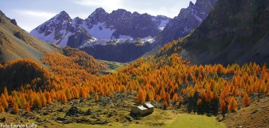 Foliage: 5 Itineraries (and cooking recipes) of Autumn in Italy - Ecobnb
