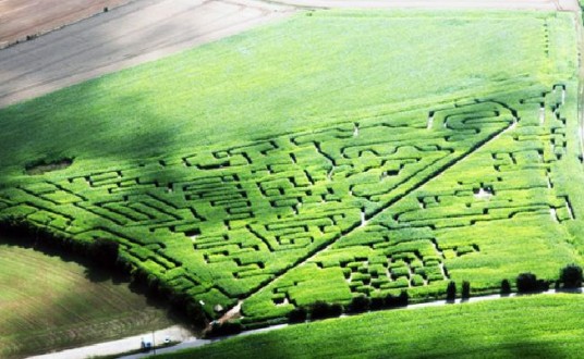 Labyrinths in France: discovering Natural riddles - Ecobnb