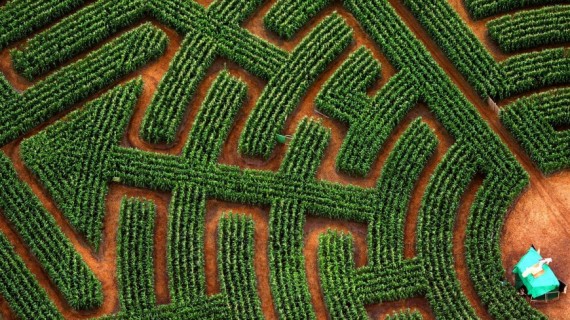 Labyrinths in France: discovering Natural riddles - Ecobnb
