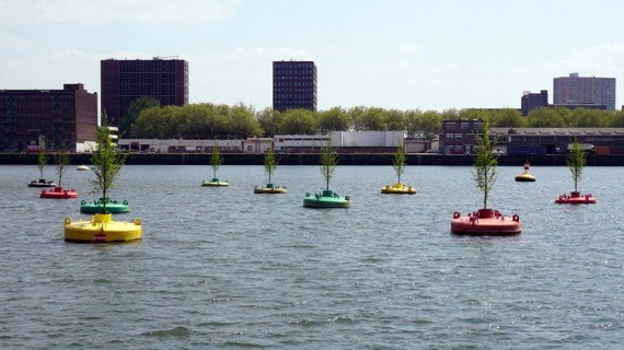 Rotterdam, a floating forest to save trees - Ecobnb