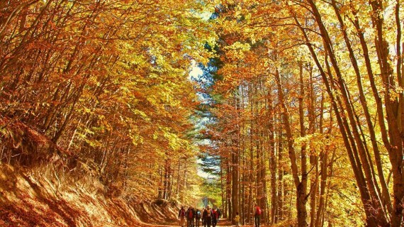 Fall foliage trip in Italian paradises - Ecobnb