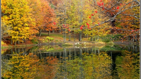 Fall foliage trip in Italian paradises - Ecobnb