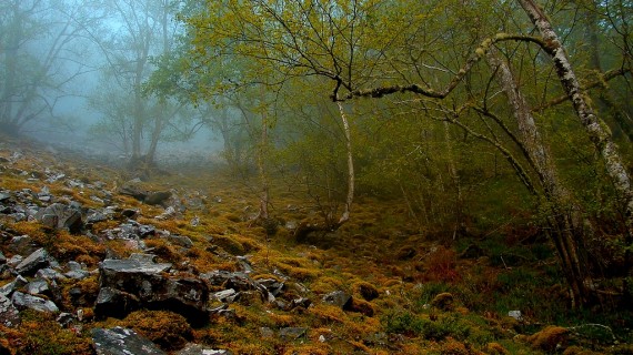10 places to admire autumn leaves in Spain - Ecobnb
