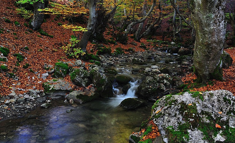 10 places to admire autumn leaves in Spain - Ecobnb