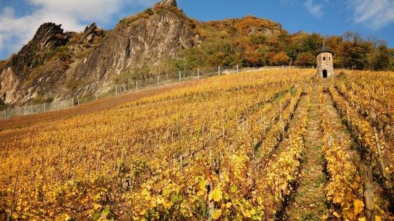 10 Places in Europe to Admire Fall Foliage - Ecobnb