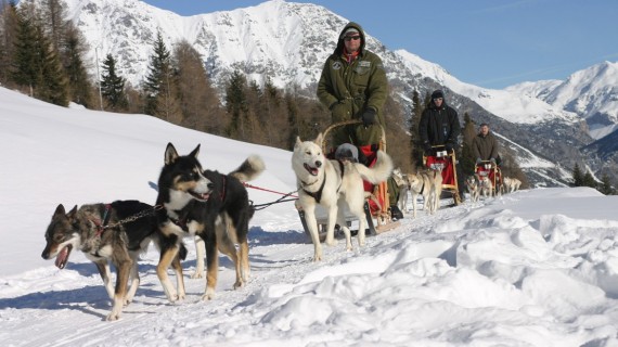 Holiday with the sled in the Alps: 5 destinations not to miss