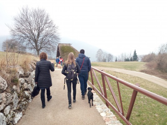 Trekking and Green Hospitality in Rotzo - Ecobnb