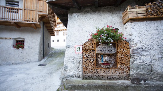 Mezzano, the village where the piles of wood become art - Ecobnb
