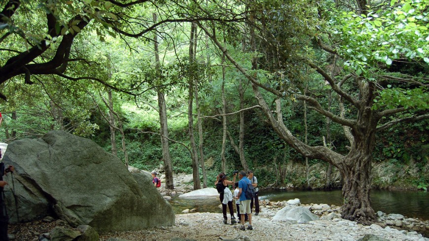 Bivongi: 6 ideas to discover the Calabrian village -Ecobnb