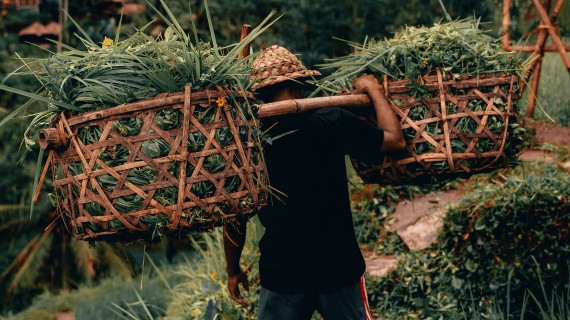 The other face of paradise. Bali's environmental battle
