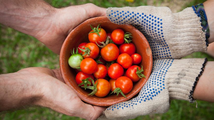 Save the Planet: Eat Less Meat - Ecobnb