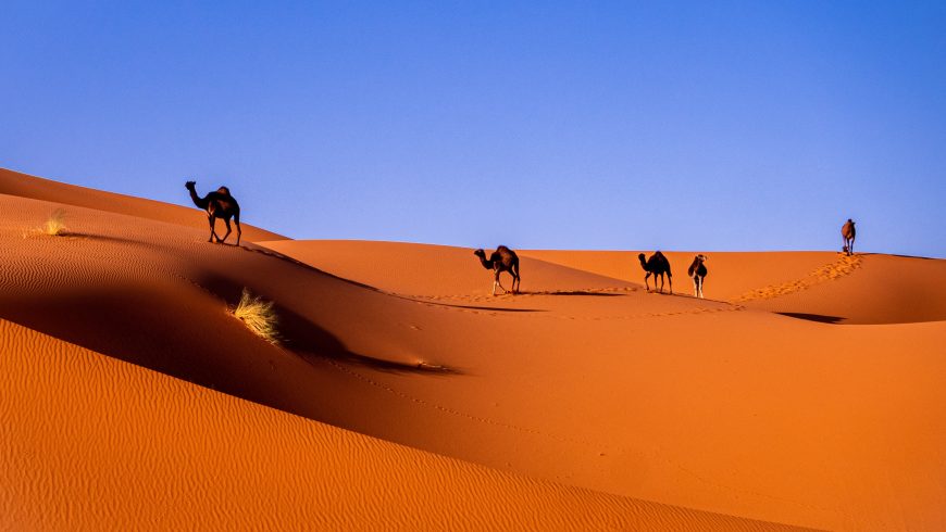 Morocco: The Ultimate Green Travel Guide - Ecobnb - travel stories