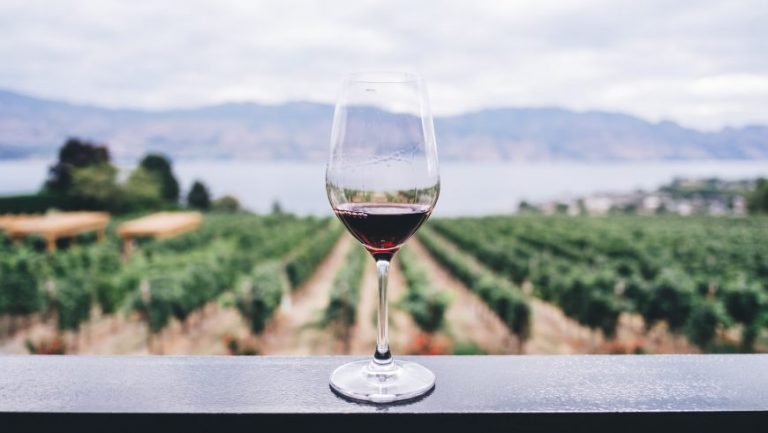 12 Good Wine Farmhouses: Taste and Sustainability among Vineyards