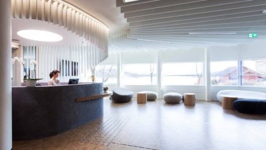 10 Examples of Eco-friendly Office and Green Benefits - Ecobnb