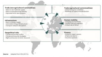 The Environment 's Health in Our Hands - Ecobnb