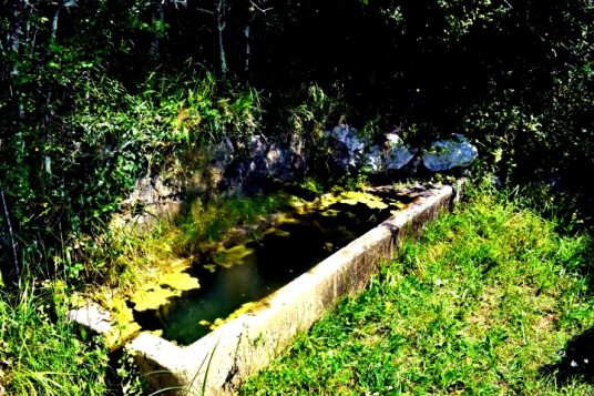 Amazing Hidden Natural Water Springs in Istria - Ecobnb