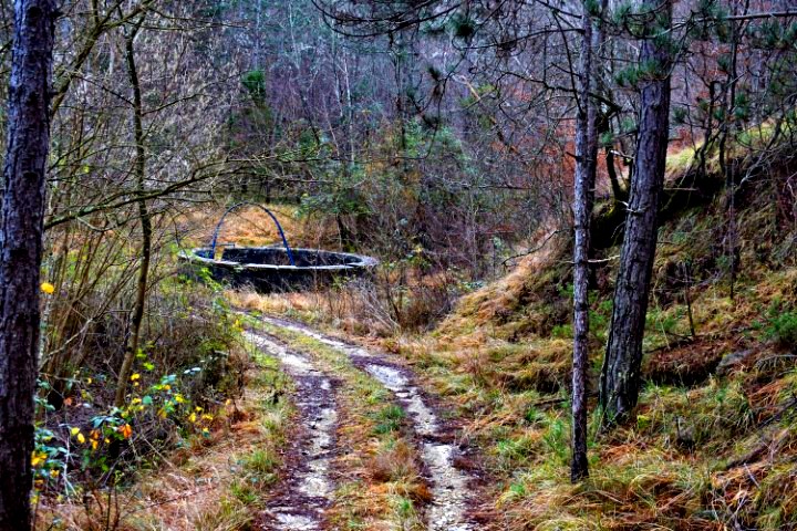 Amazing Hidden Natural Water Springs in Istria - Ecobnb