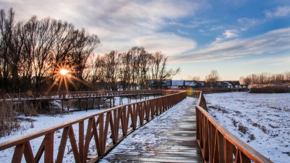 The 5 best Croatian Nature Parks to Escape to Nature - Ecobnb