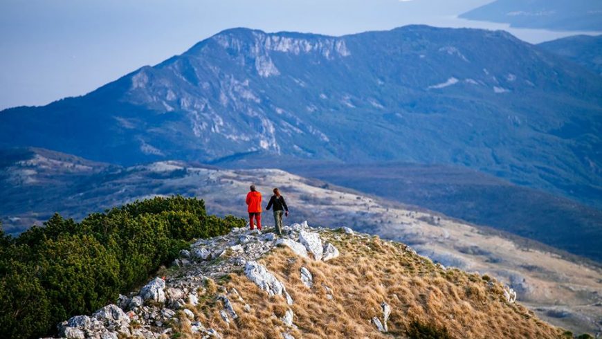 Top 10 Natural Parks and Protected Areas in Istria of Outstanding Beauty