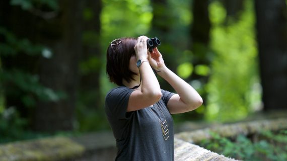 Discover Top Tips for Beginner Bird Watching - Ecobnb