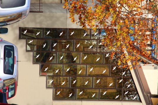 How to Turn Your Balcony or Terrace into a Garden for Birds - Ecobnb