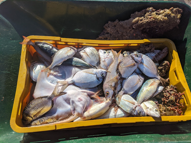 Rava: Beautiful secret island in Croatia you’ve never heard of - Ecobnb