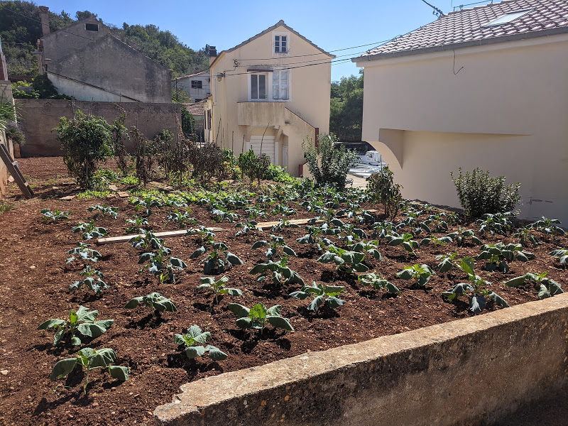 Rava: Beautiful secret island in Croatia you’ve never heard of - Ecobnb