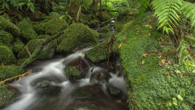 The 10 must-see Waterfalls in the Azores - Ecobnb