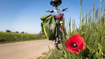 Cycling Benefits: 10 Good Reasons to Cycle - Ecobnb