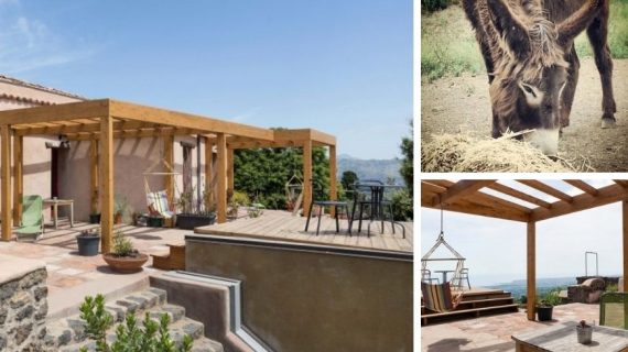 Farmer for a day: Top 10 organic farms for a rural experience - Ecobnb