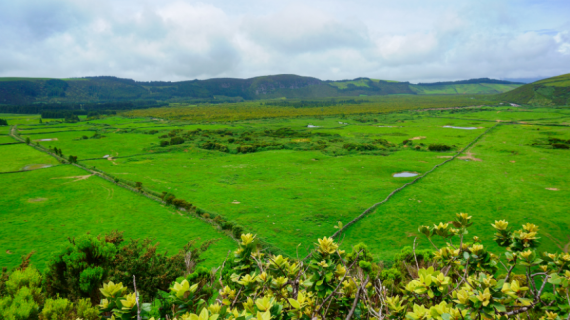Hiking in the Azores: the 10 Best Hiking Trails You Must Do - Ecobnb