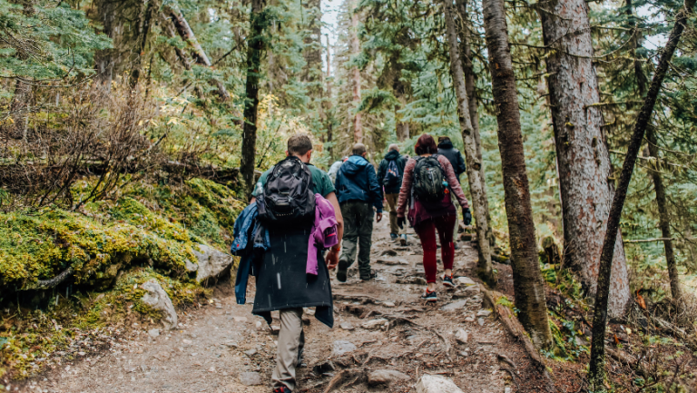 Top 10 Azores Natural Parks to Venture into the Wild - Ecobnb