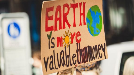 A 5 steps guide to prevent animal extinction - Ecobnb