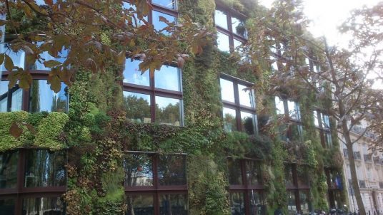 Top 3 Green Museums: From Tradition to Innovation - Ecobnb