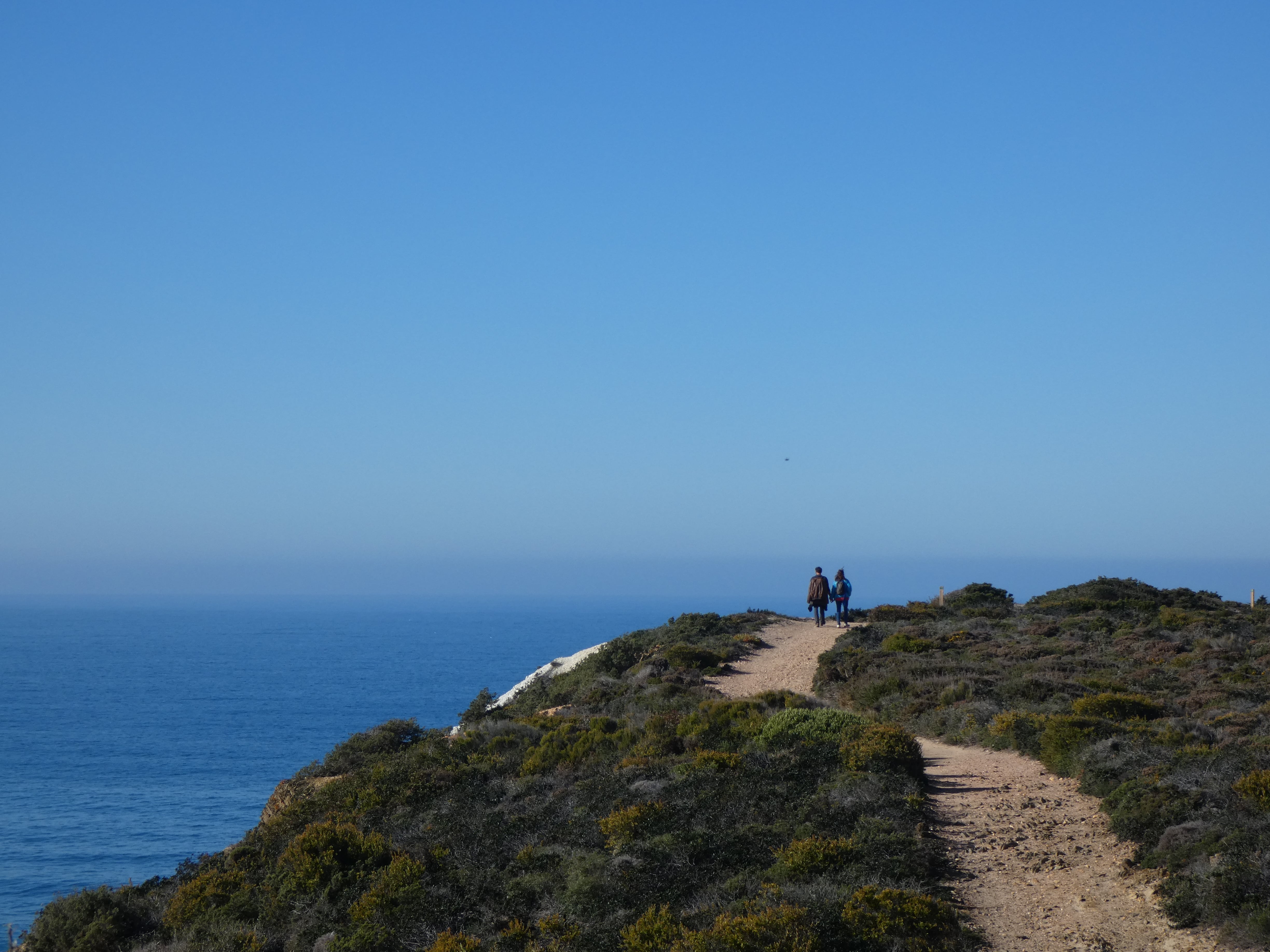 Discover the Wild Nature of the Western Algarve Coast - Ecobnb