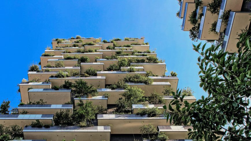 6 Ways To Make Your Condo More Eco-Friendly - Ecobnb