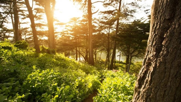 Top 3 Green Museums: From Tradition to Innovation - Ecobnb