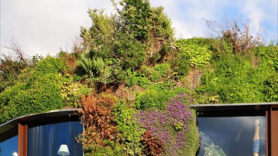 Top 3 Green Museums: From Tradition to Innovation - Ecobnb