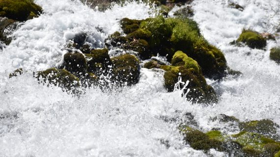 Stenico: a magical holiday in Trentino - Ecobnb