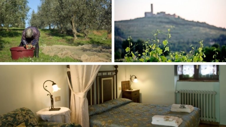 Discover 10 Beautiful Organic Farms in Tuscany - Ecobnb