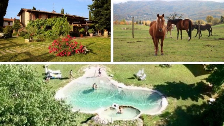 Discover 10 Beautiful Organic Farms in Tuscany - Ecobnb