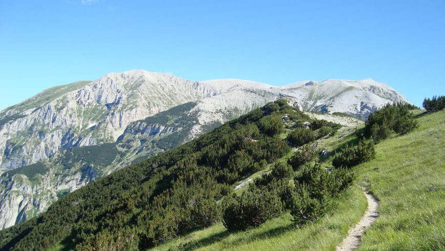 Majella National Park: among wolves, canyons and ancient trees - Ecobnb