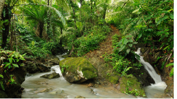 Ecotourism in Panama: 10 experiences you can't miss - Ecobnb