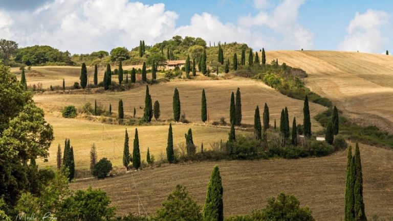 Top 10 Nature Parks in Tuscany and the Best Green Tips - Ecobnb
