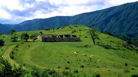 Top 10 Nature Parks in Tuscany and the Best Green Tips - Ecobnb